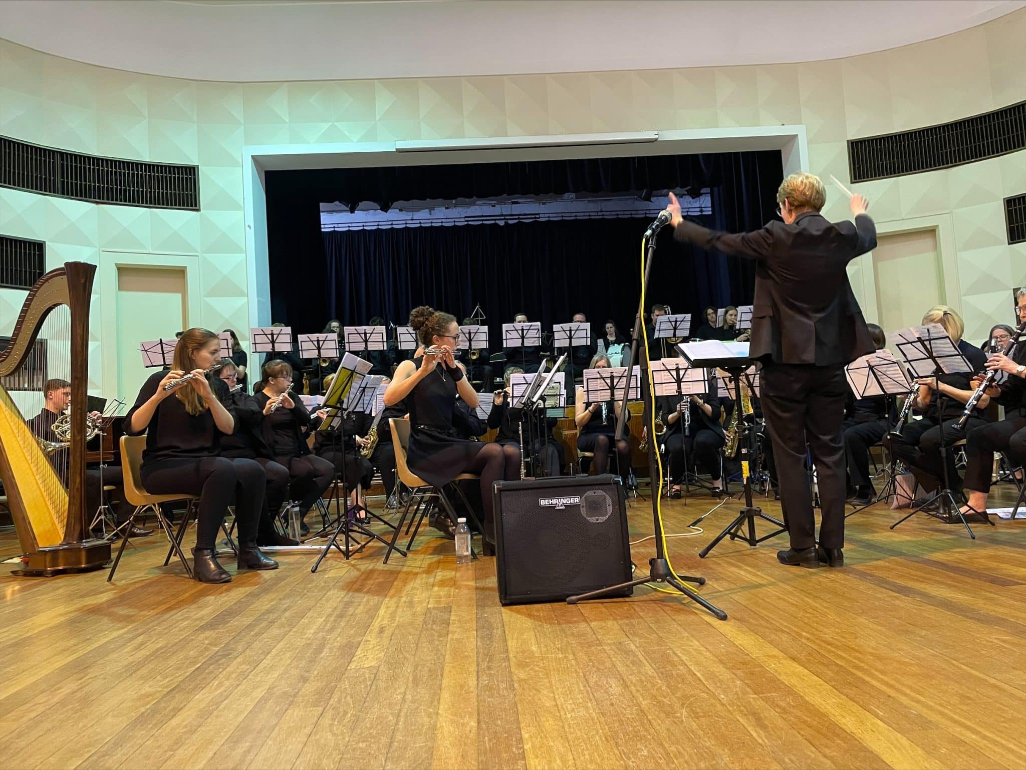 Spring Performance at Stratton School | Biggleswade Town Council